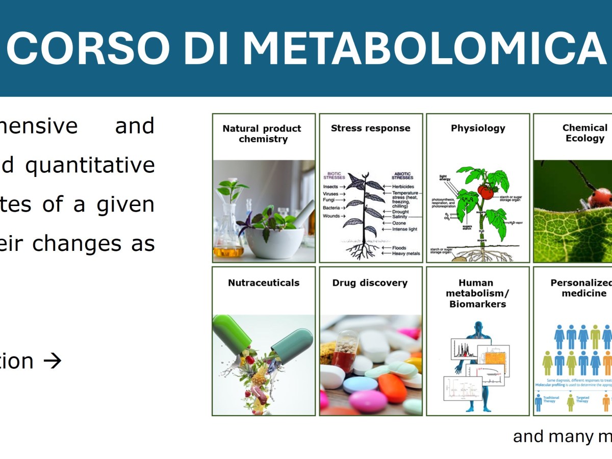 Metabolomica | Chimica Organica-DiSTABiF